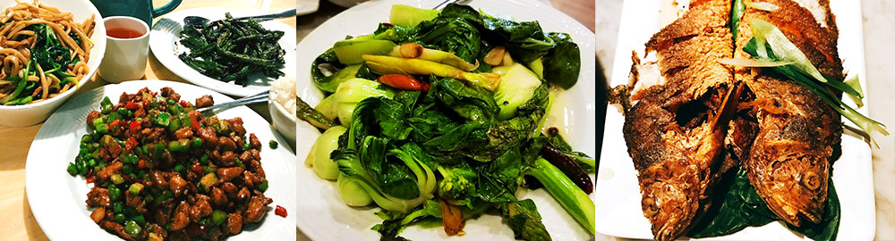 Shanghai Fresh - Cambridge, MA 02139 (Menu & Order Online)